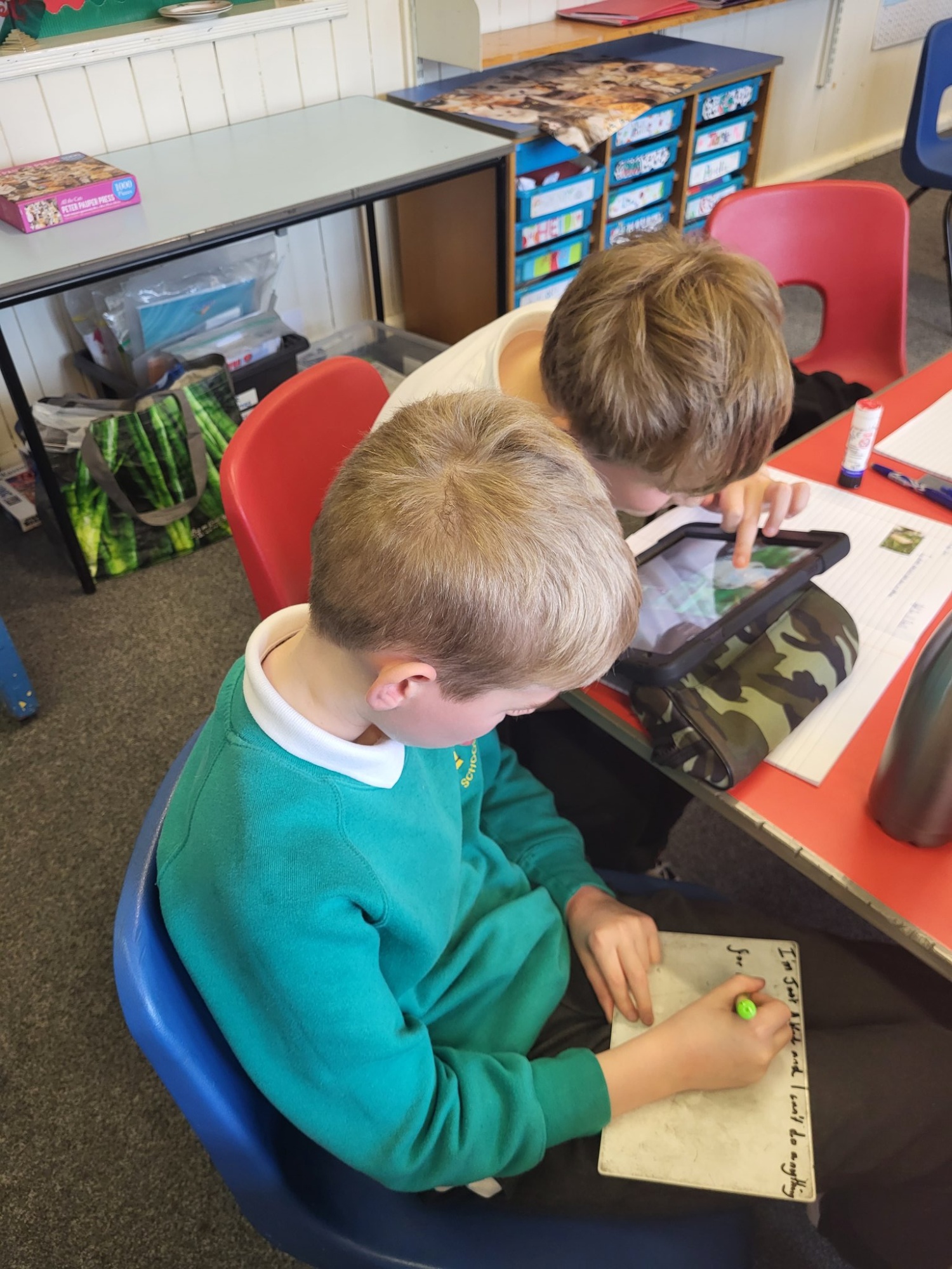 Radnor Primary School - Our Gallery: Summer Term