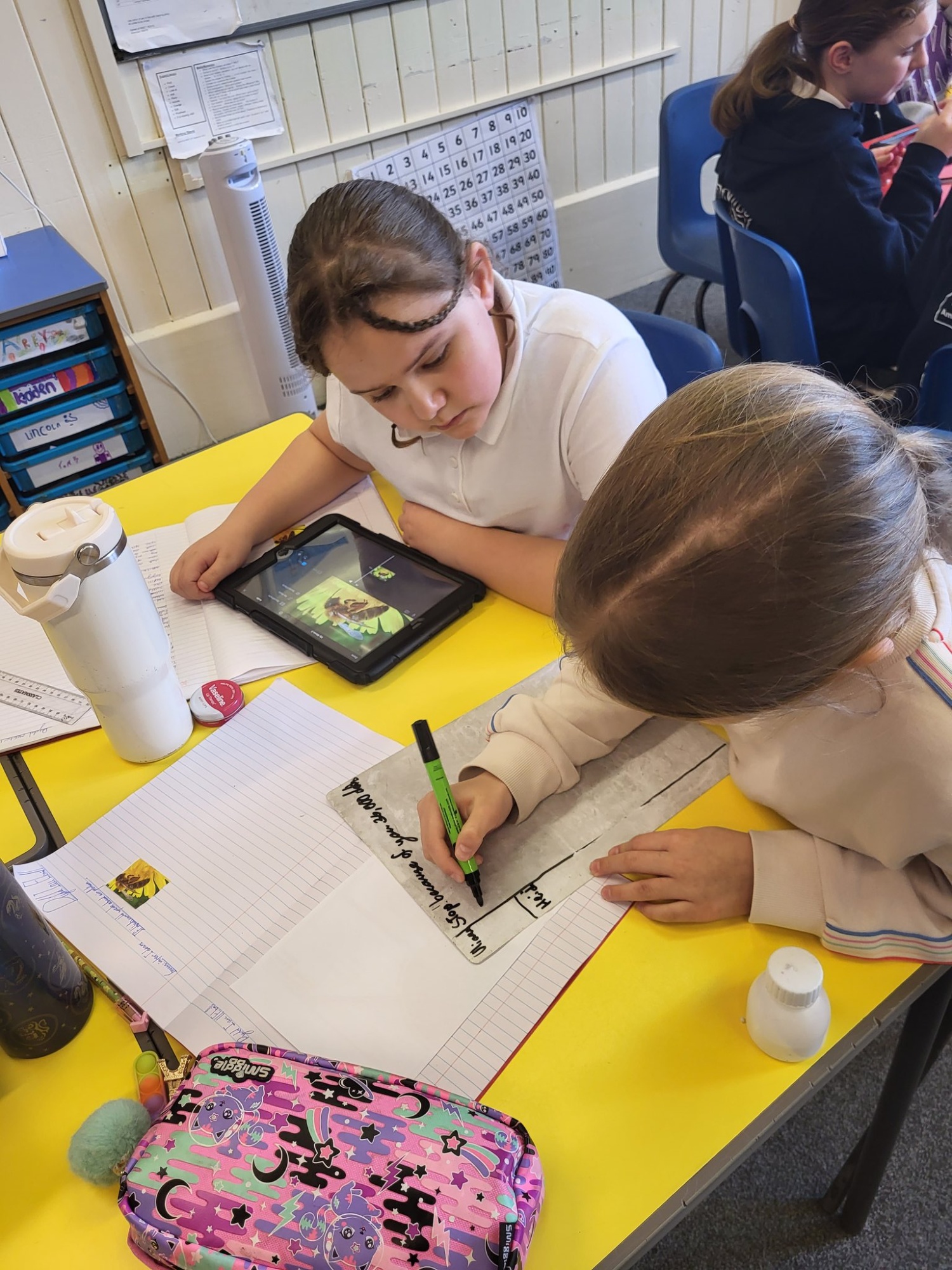 Radnor Primary School - Our Gallery: Summer Term