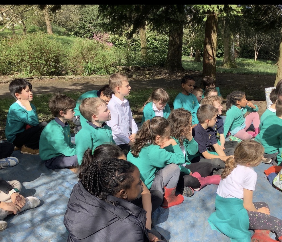 Radnor Primary School - Forest Friday-Measuring