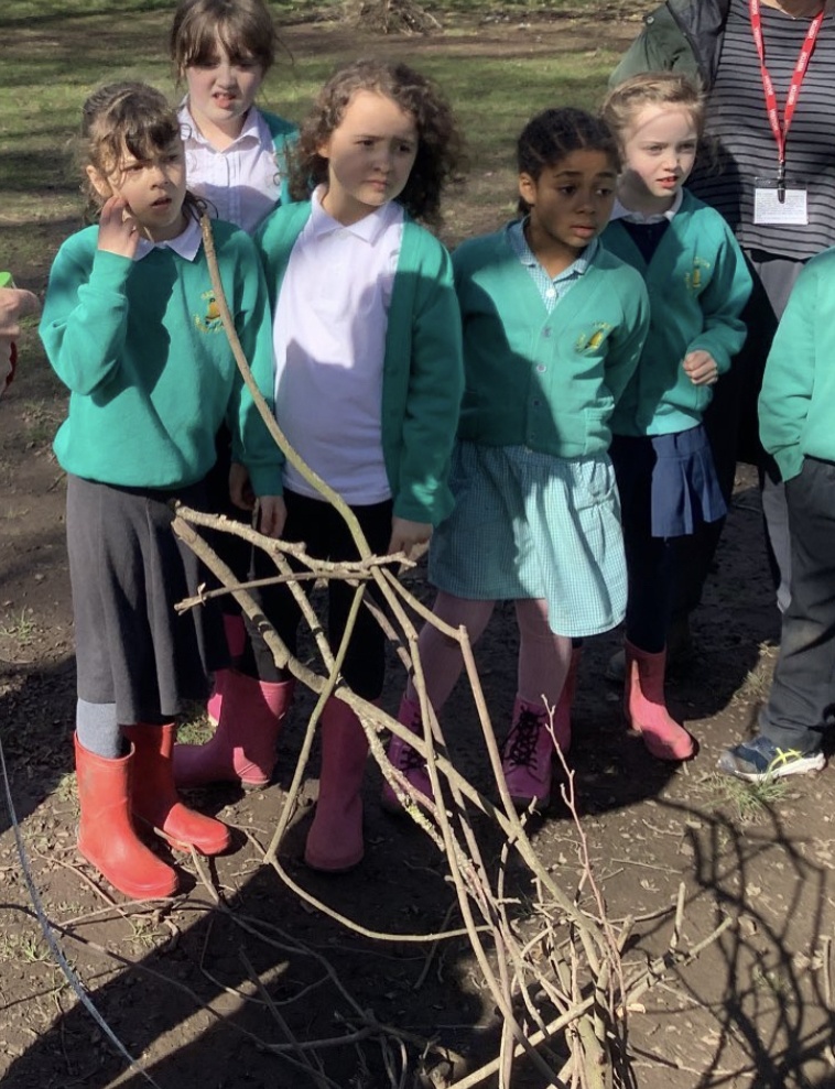 Radnor Primary School - Forest Friday-Measuring