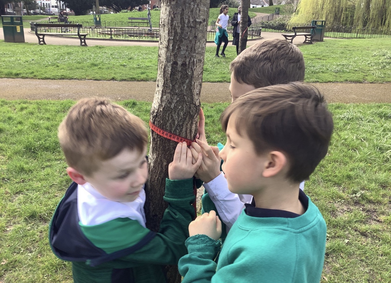 Radnor Primary School - Forest Friday-Measuring