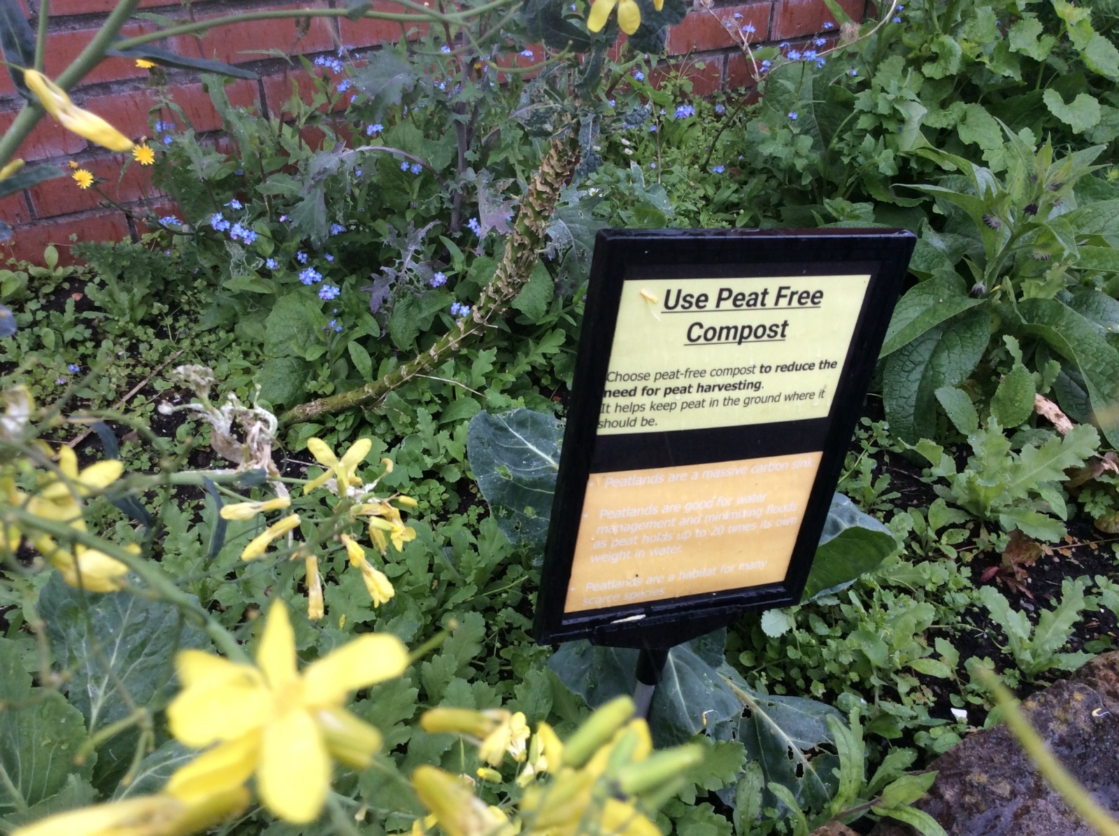 Radnor Primary School - Canton Community spaces