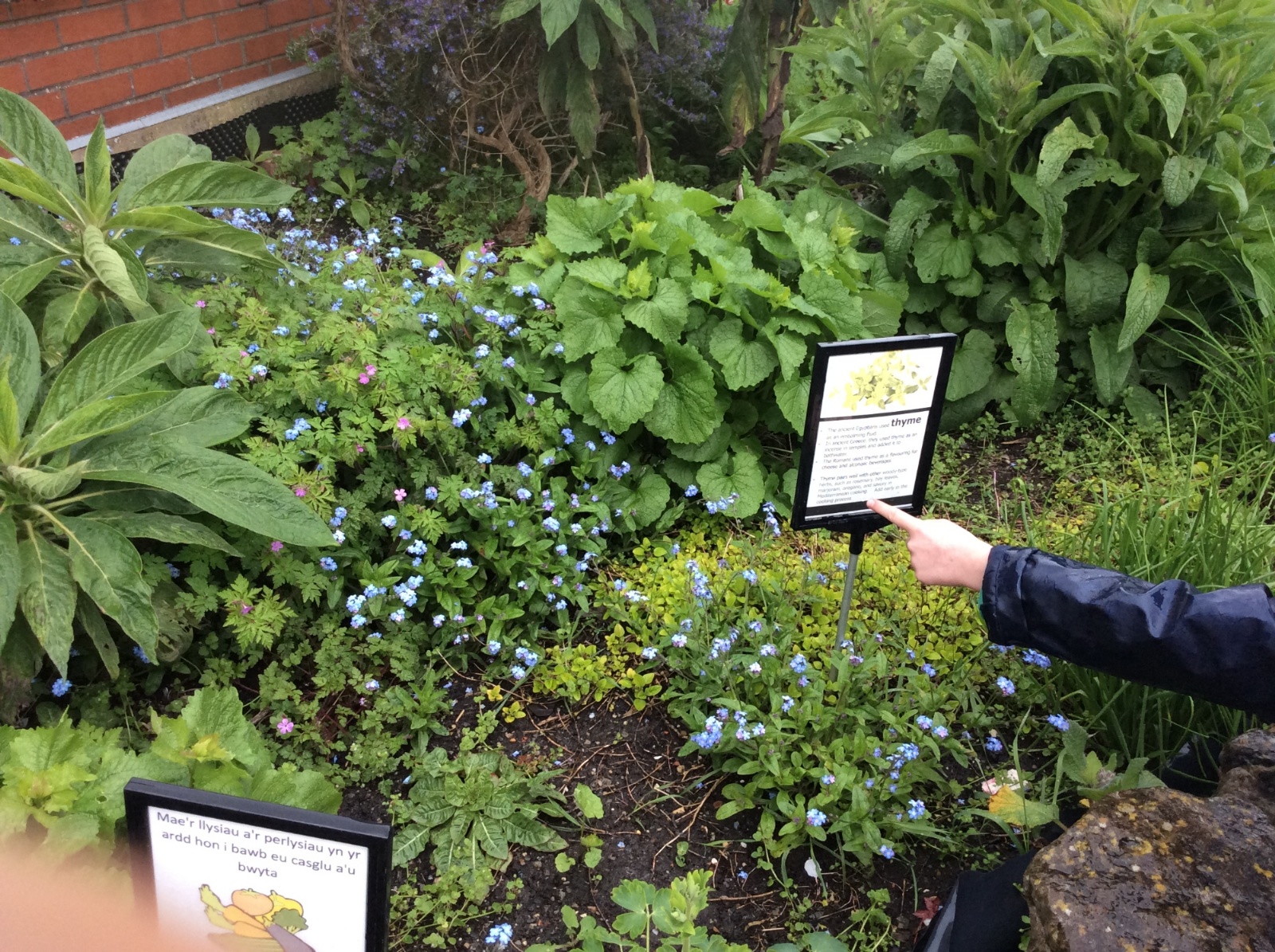 Radnor Primary School - Canton Community spaces