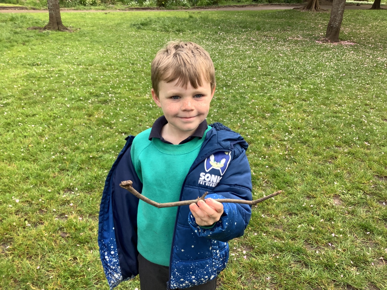 Radnor Primary School - Forest Friday-Shapes in Nature