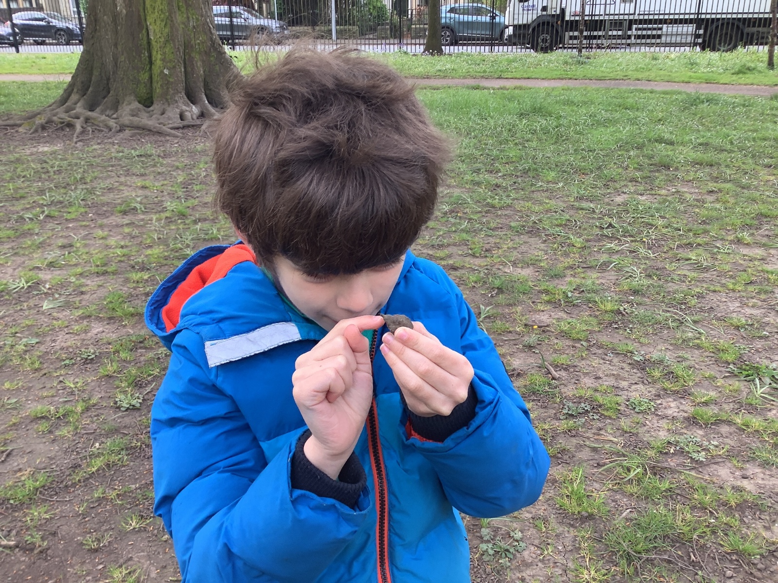 Radnor Primary School - Forest Friday-Shapes in Nature
