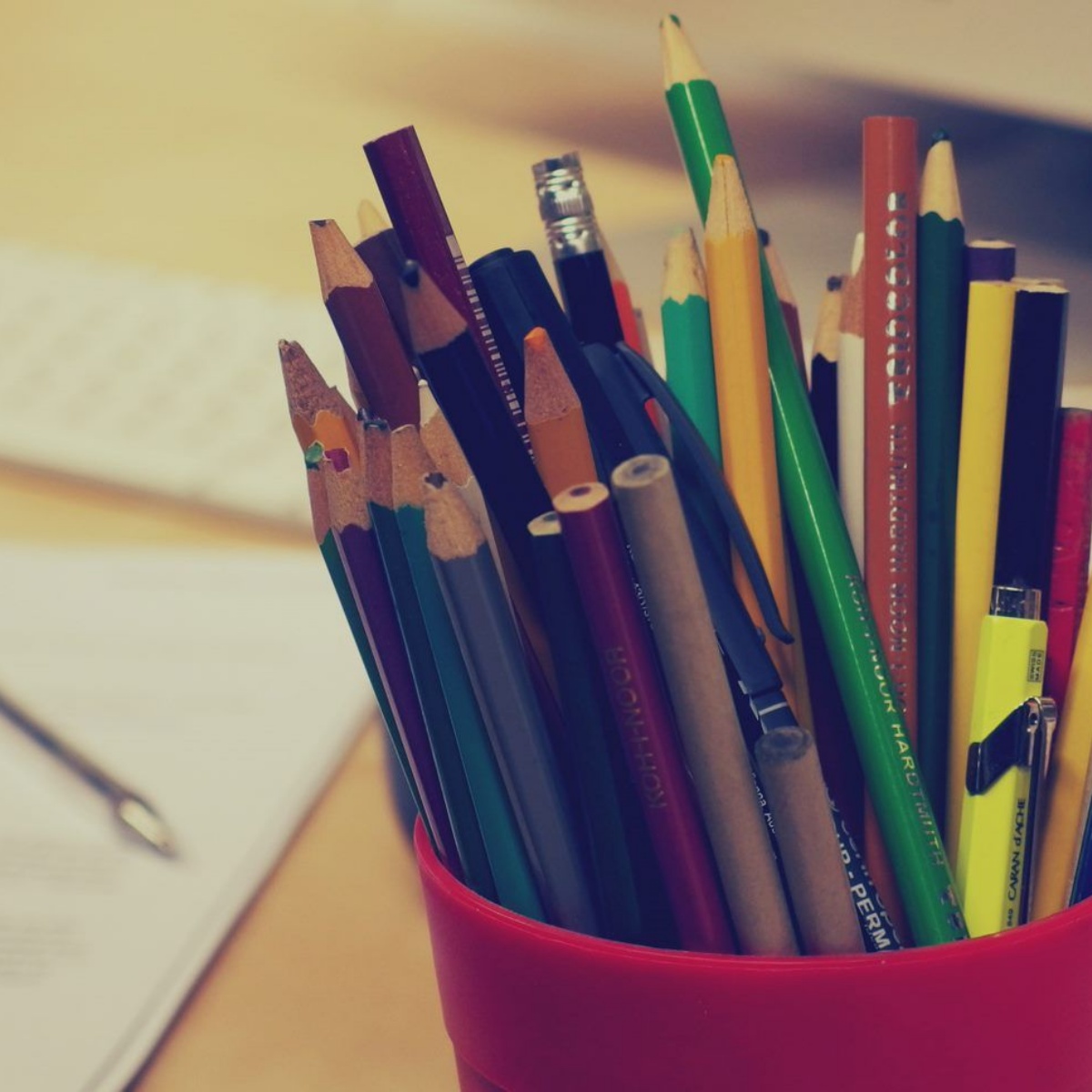 Radnor Primary School - Example News Story